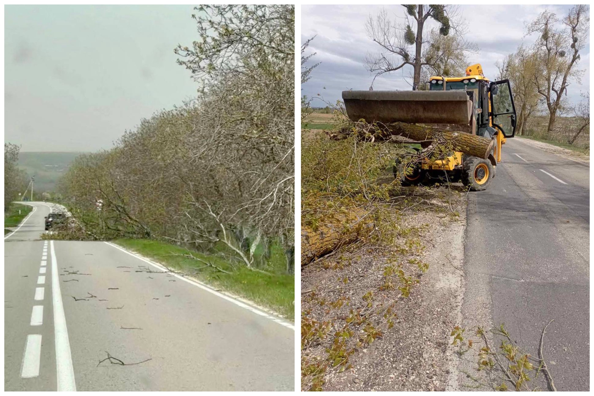 Vântul puternic doboară copaci pe drumurile naționale: circulație ...